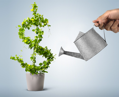 14 Essential Steps to Invest Successfully - Mufazzal Kajiji - Finance ...