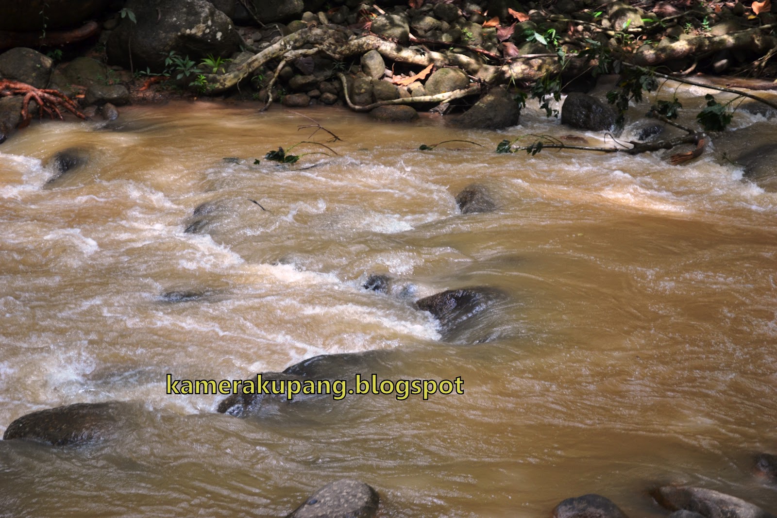 kamera kupang: GAMBAR PEMBALAKAN DI KAWASAN GUNUNG INAS, BALING.