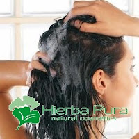 Champu natural: Como utilizar el champú Hierba Pura.
