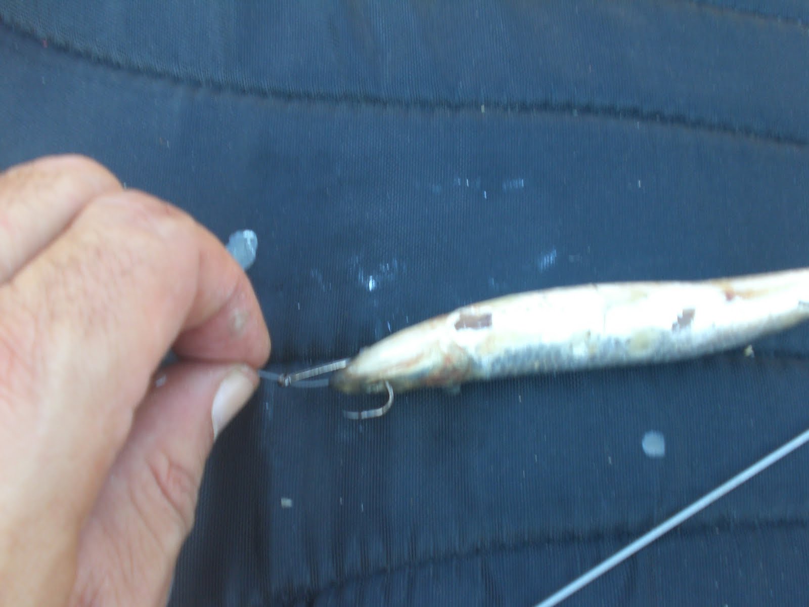 la dura vida de un pescador sin tiempo: Montaje pez muerto