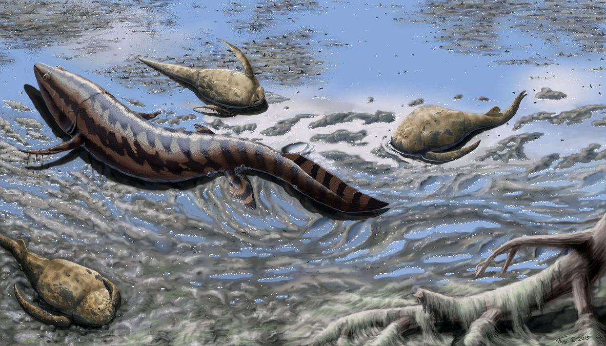 Blog de la Vida Prehistórica: Panderichthys