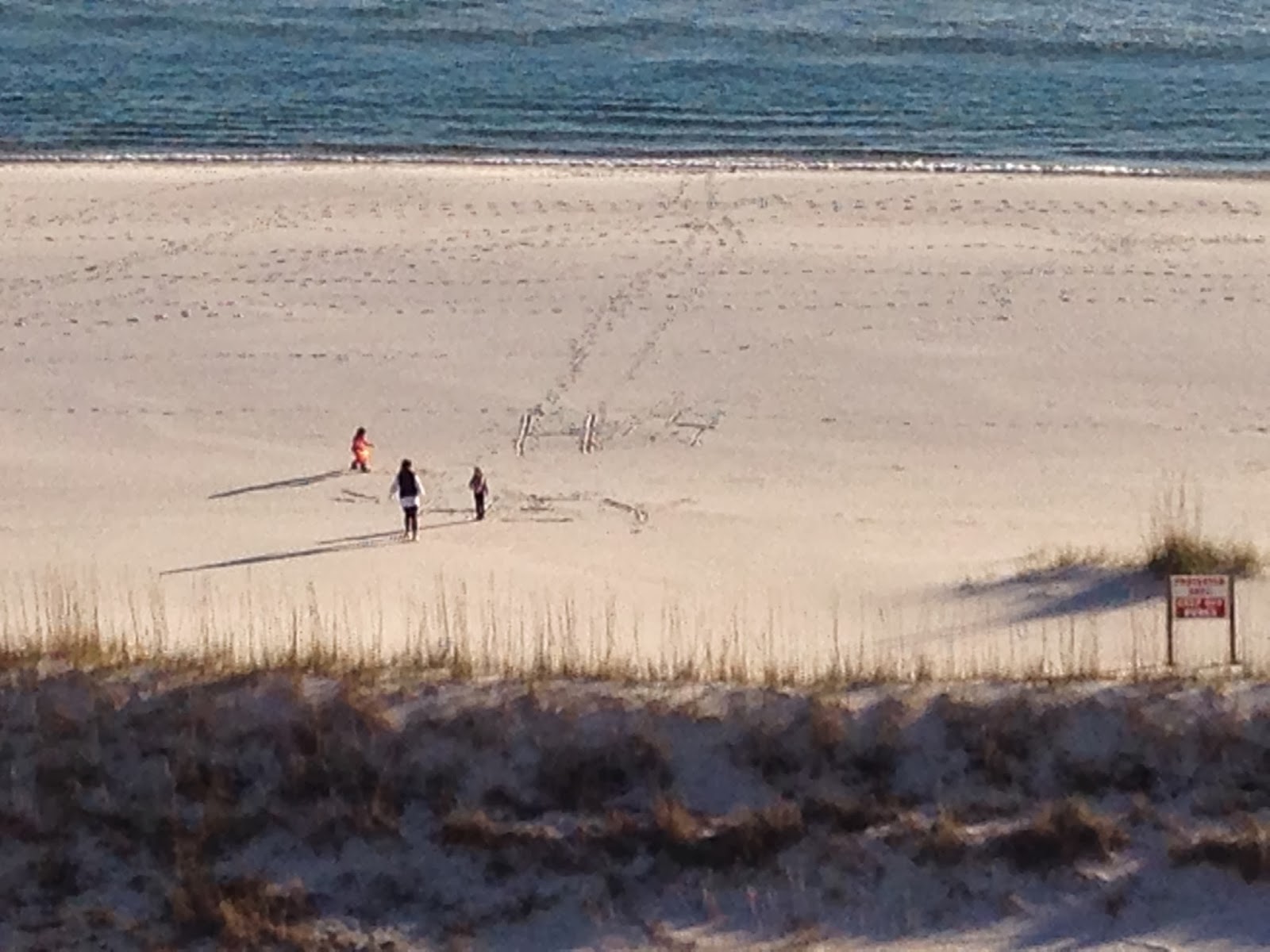 Mojoy: Beach pics...yes. reminiscing.