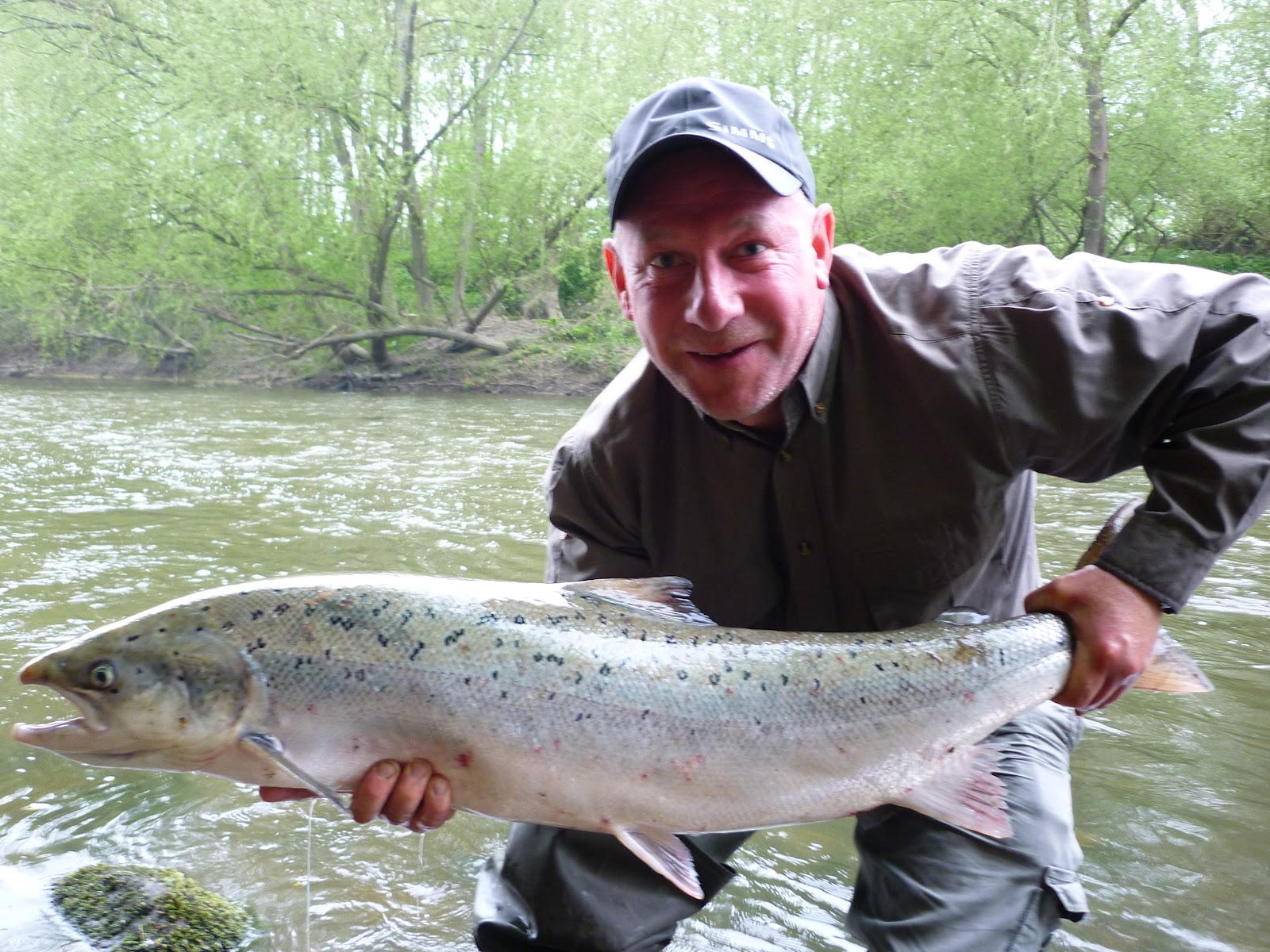 Severn Salmon Online