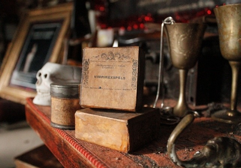 .: THE EXTRANGE MUSEUM OF THE VAMPIRES AND MONSTERS OF THE IMAGINARY IN ...