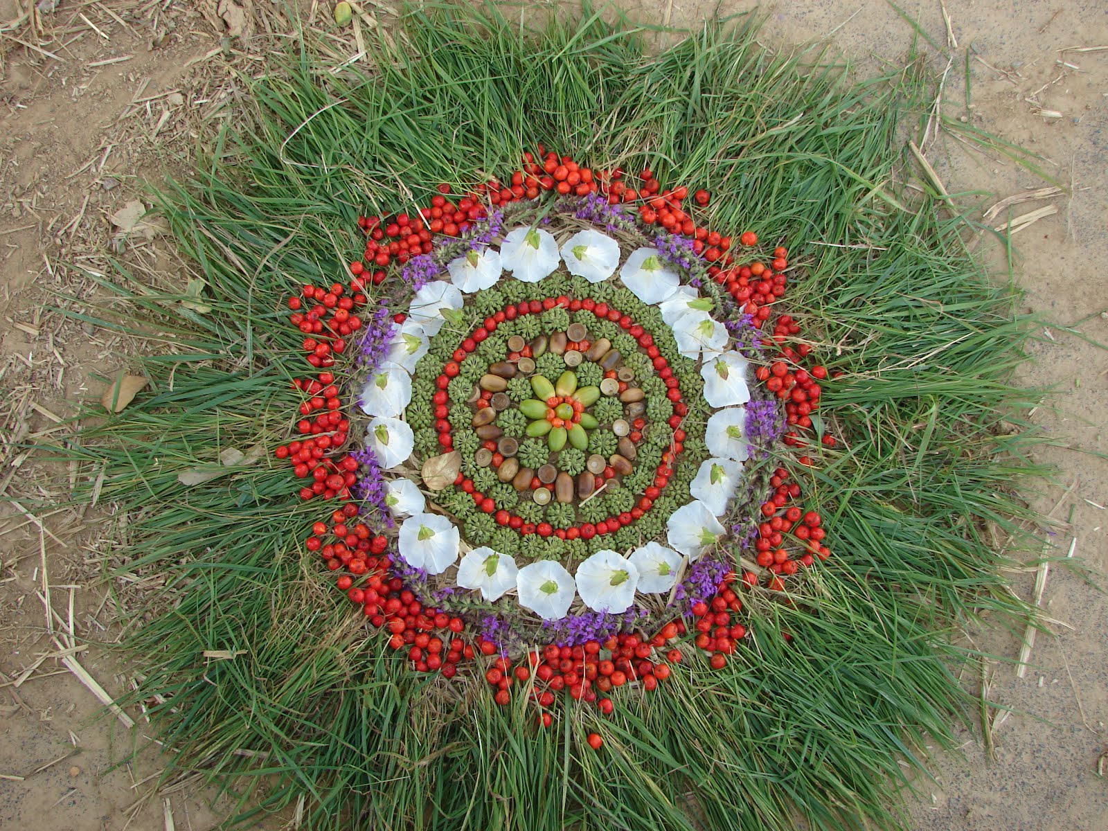 1000+ images about natural mandalas on Pinterest | Mandalas, Flower ...