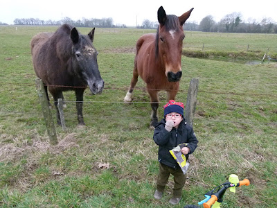 Lotta Topp Su Wilkipedia