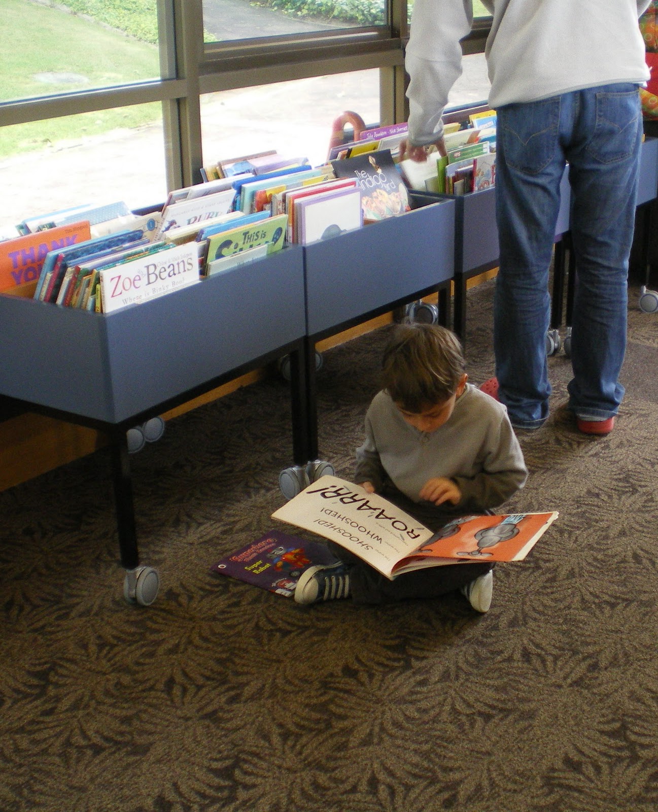 A Latitude of Libraries: Hard Bittern: A Tale of Manurewa