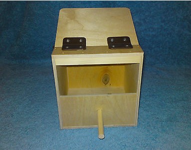 pasari-exotice.blogspot.com: Cinteza australiana zebrata (Zebra Finch)