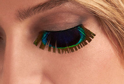The Presurfer: Peacock Eyelashes
