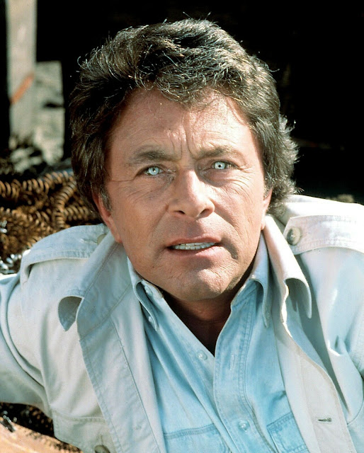 Pop Culture Safari!: Pop Pic: Bill Bixby