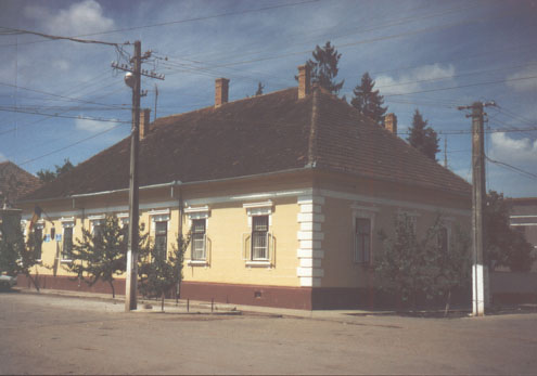 Ploaia de cuvinte: Ducesa Mileva si conacul San Marco de la Comlosu Mare