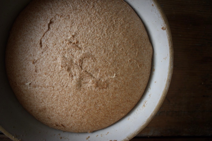 Girl Meets Rye : Desem: A Lost Bread