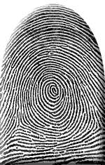 Introducción al Sistema Dactiloscópico Argentino