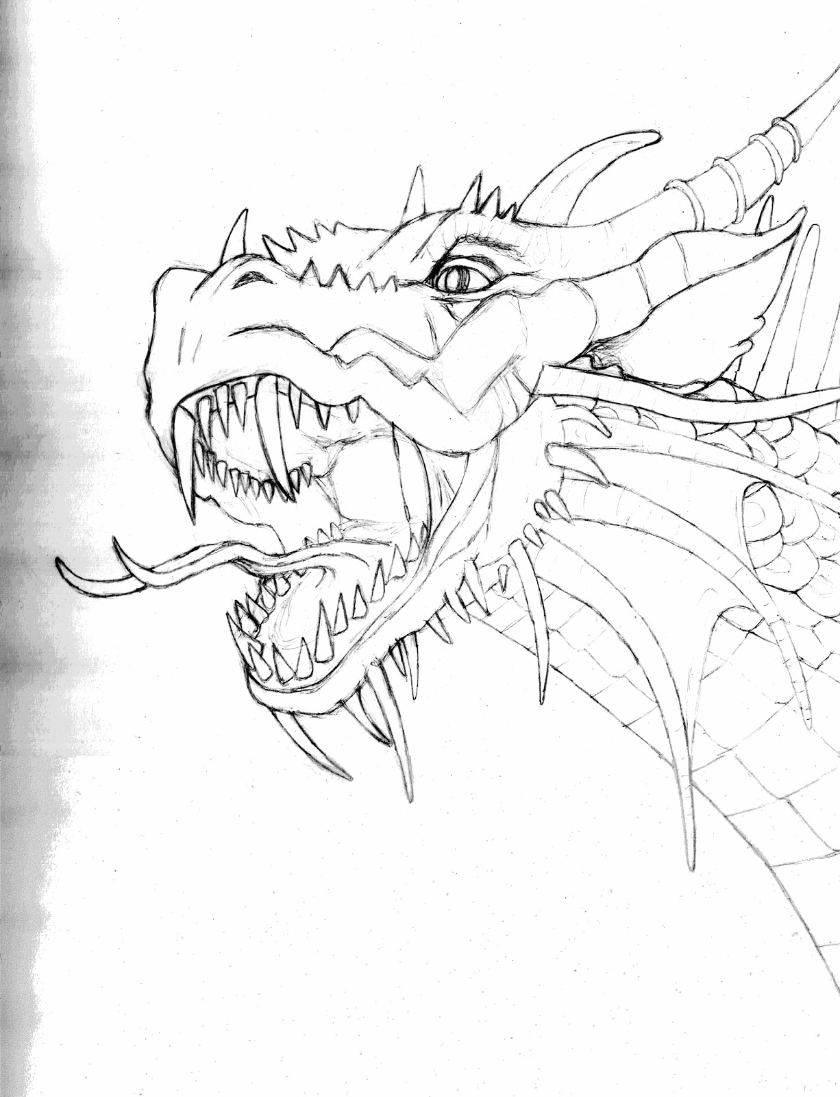 l'Atelier Grafico: Draco Rex by Ciruelo - Illustration from The Book of ...
