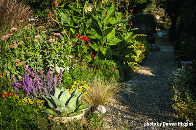 Gardening Tips from Thomas Rainer, via the New York Times