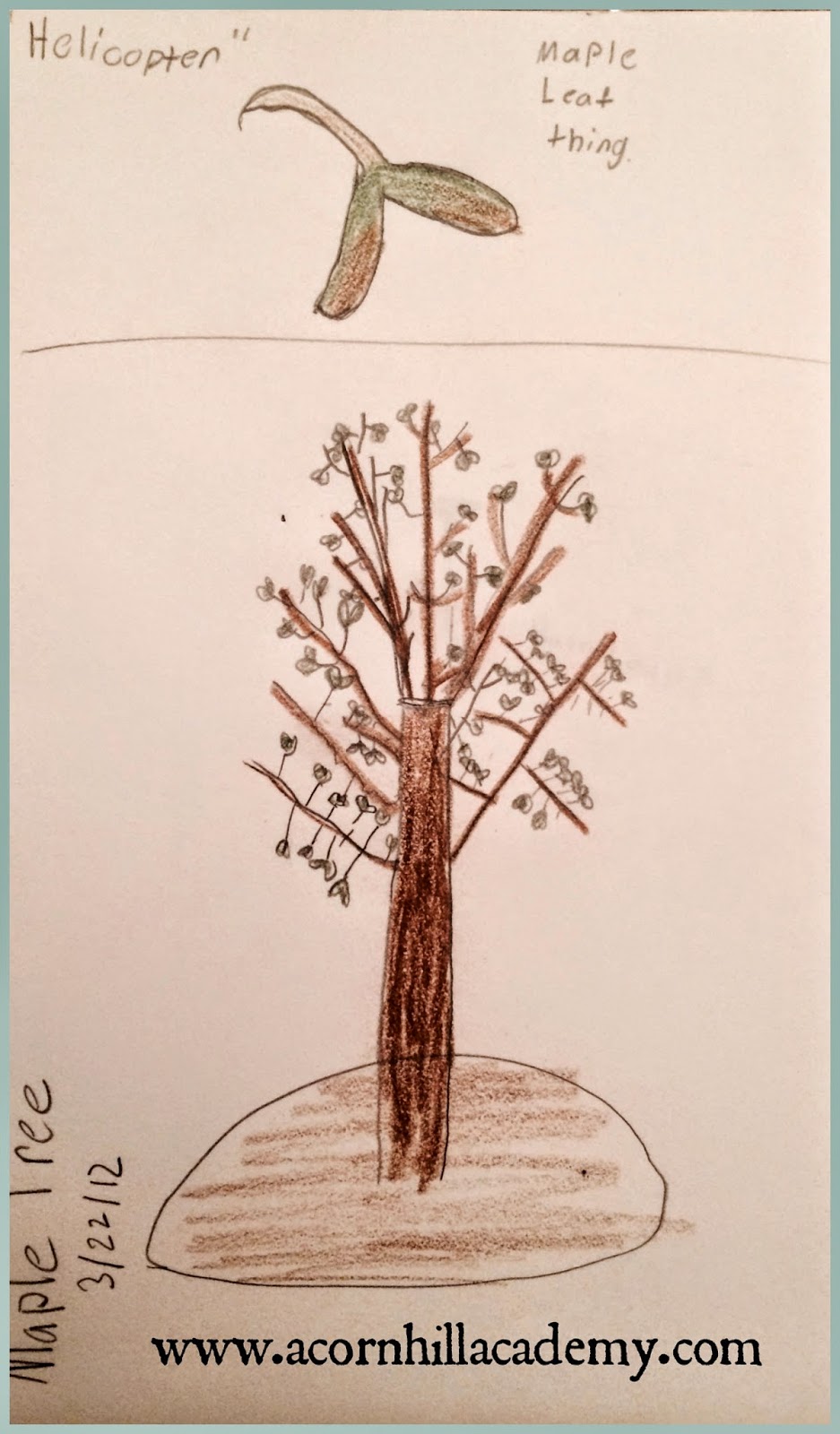 Acorn Hill Academy: Day Four: Keep a Nature Journal