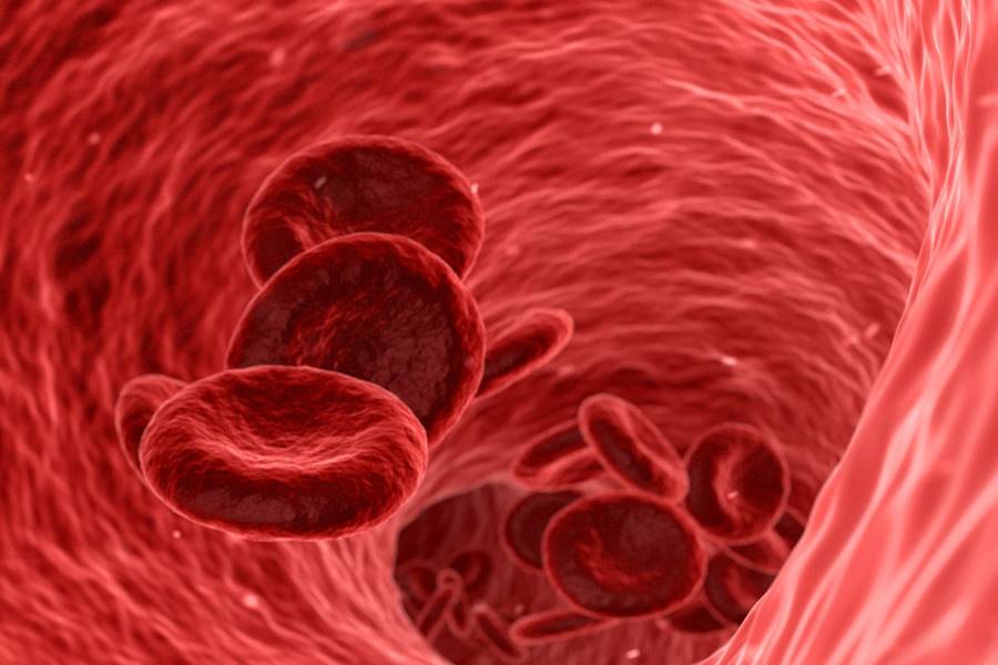 SANGRE UNIVERSAL LOGRADA GRACIAS A UNA ENZIMA