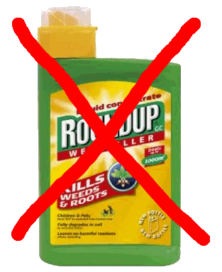 GENERACASH - Au-delà de l'espace: Monsanto menace la stabilité de l ...