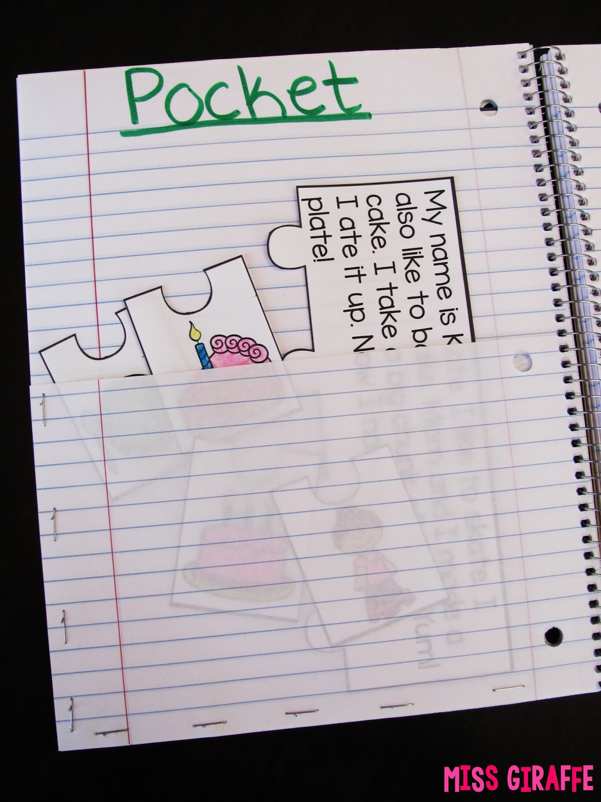 Miss Giraffe's Class: Phonics Fluency Notebooks