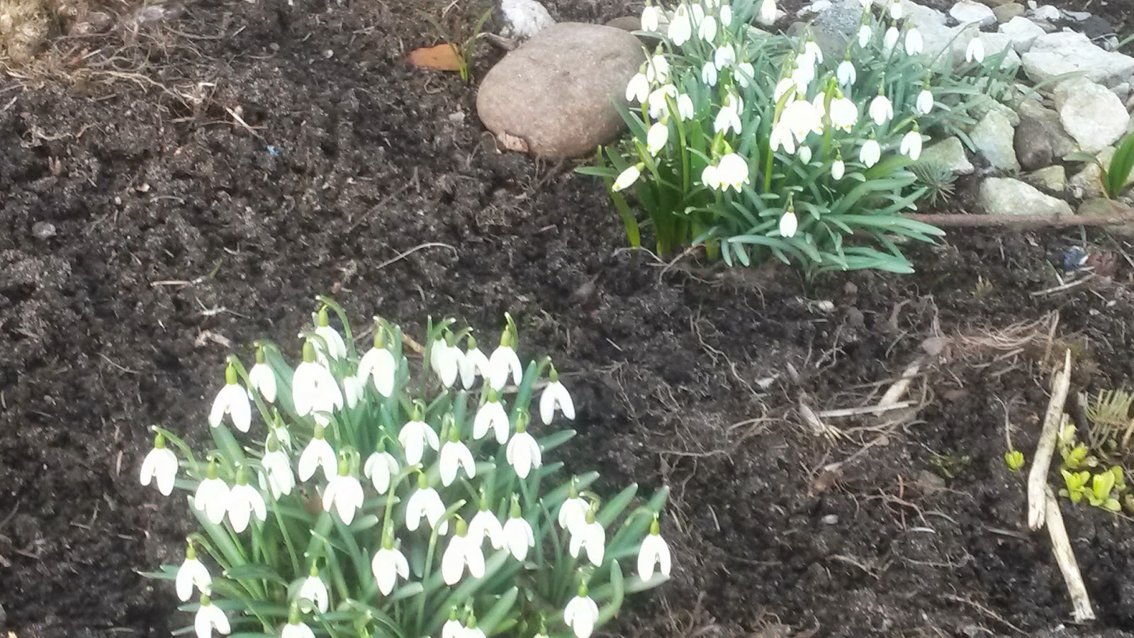 Päikesepõimik: Kevade algus lasteaias