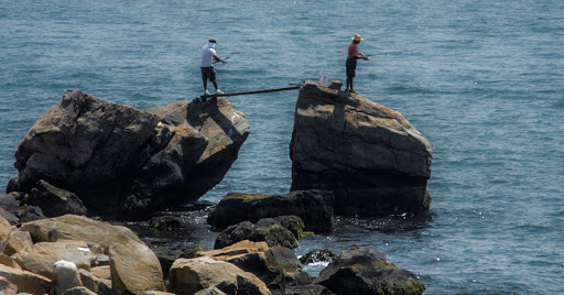 Connecticut Explorer: Walking Bluff Point State Park