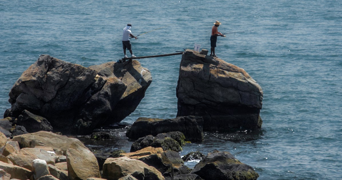 Connecticut Explorer: Walking Bluff Point State Park