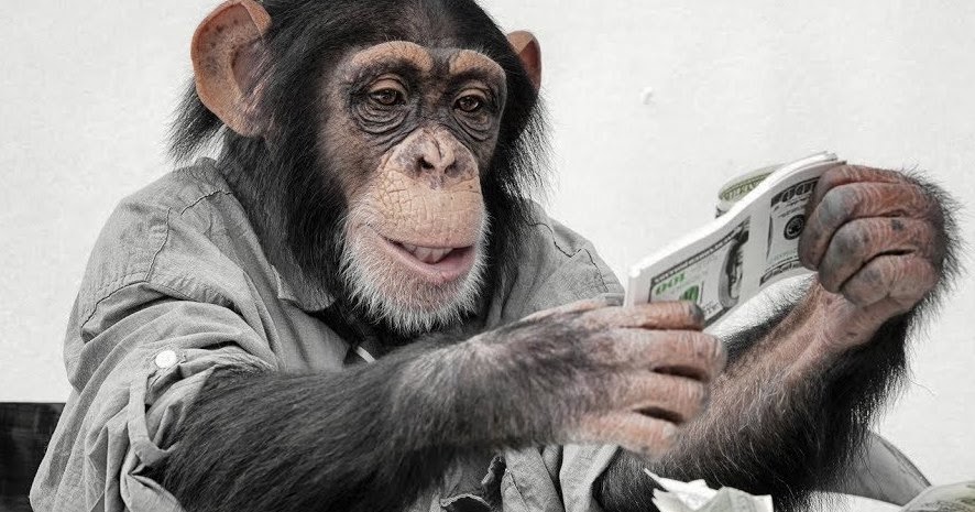 Stealthy Wealth: Of Monkeys And Retirement