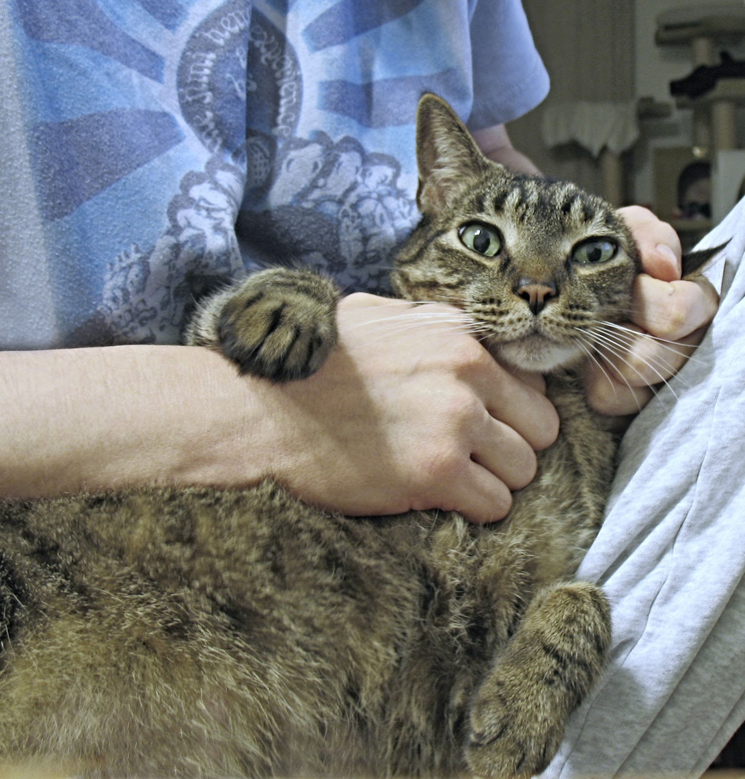FAT CAT RATS - Momma Kat and Her Bear Cat