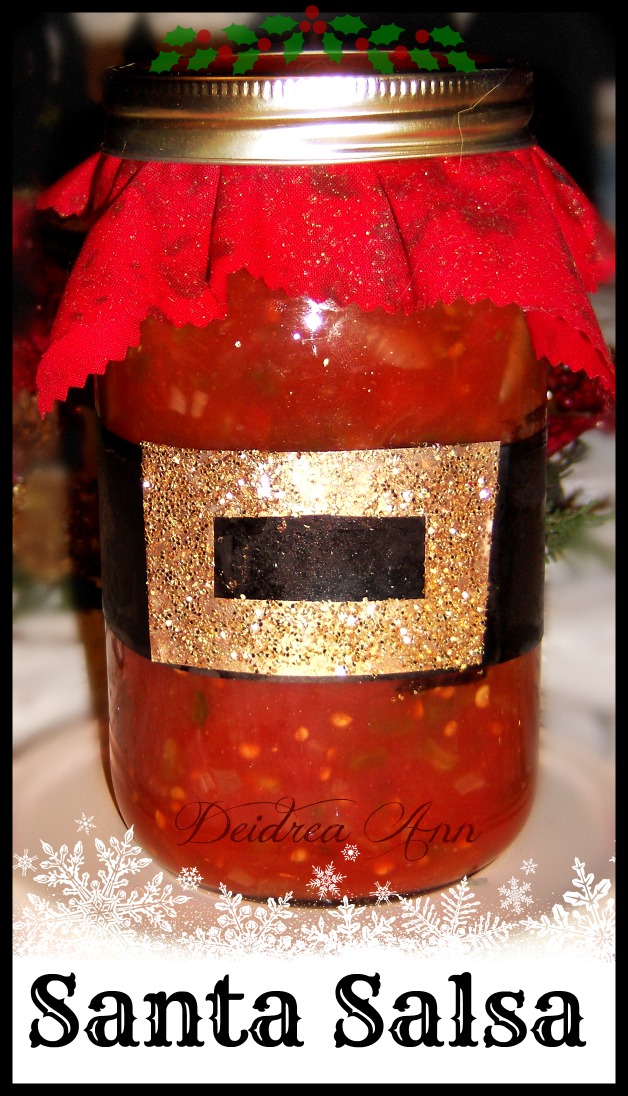 Creative Hoarder: SANTA SALSA