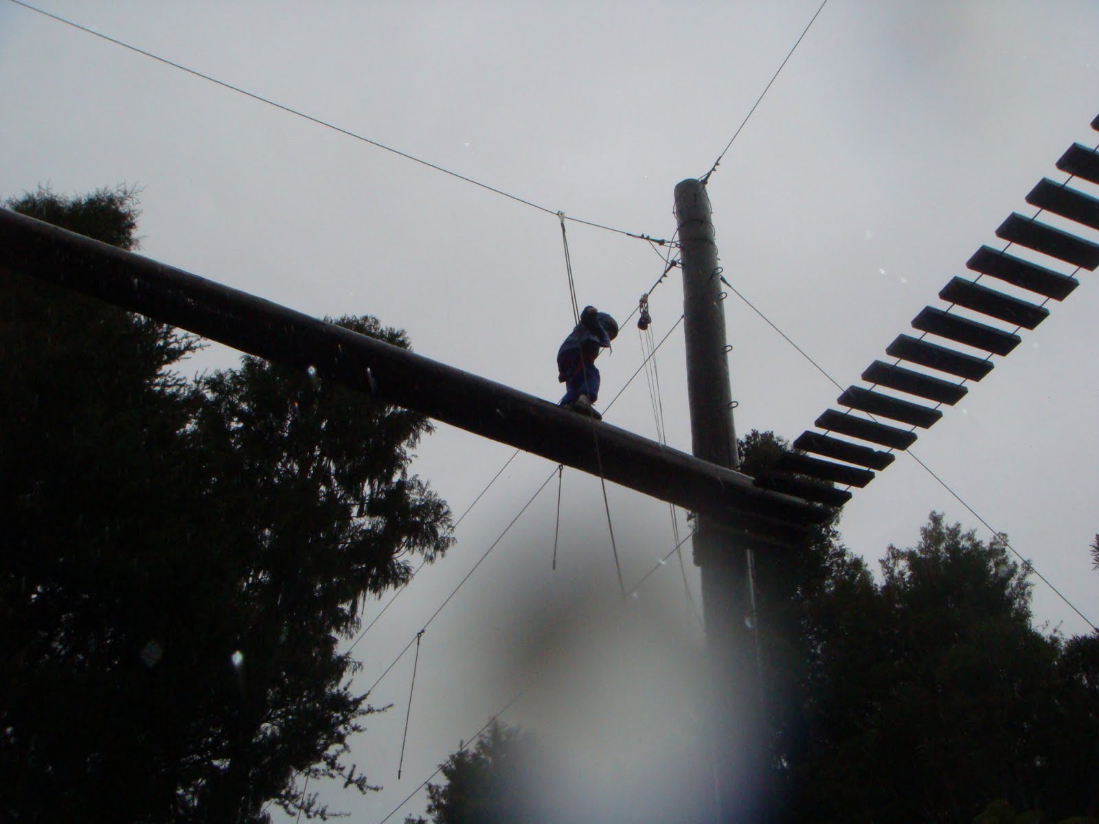 Kahikatea DLU: Tui Ridge Camp 2011