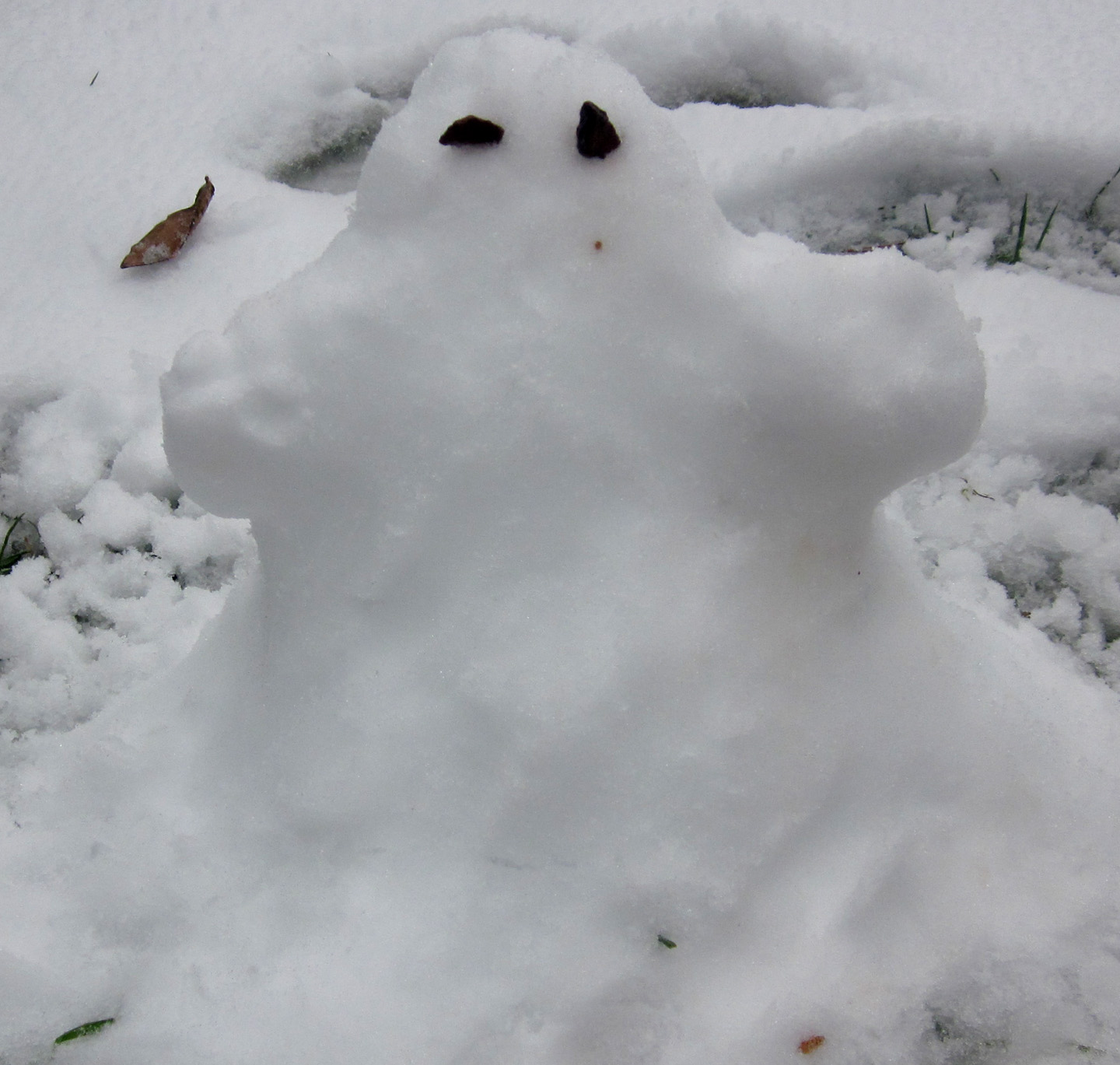 Julie and I's Adventure!