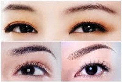 KARAKTER MANUSIA BERDASARKAN BENTUK ALIS