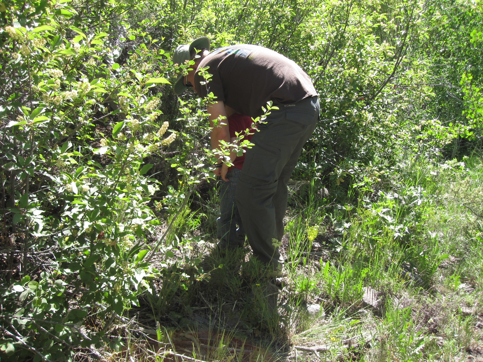 O-H, the places we'll go: Sun Valley Again