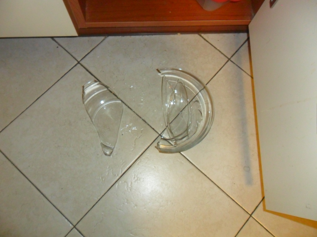 the palmieri family: the world's GROSSEST thing ever!