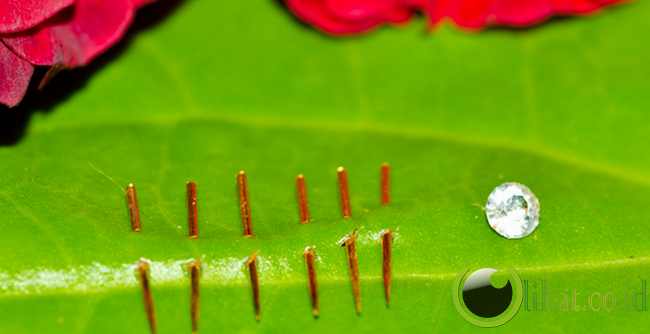 PESUGIHAN TANPA TUMBAL: JASA PASANG SUSUK