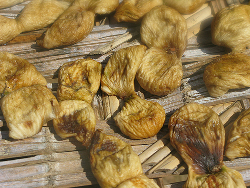 Sagre a Firenze, Prato e dintorni e non solo: Benvenuto Fico Secco a ...