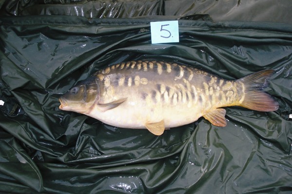 Warrington Anglers Association: 25th October 2011 Warrington Anglers ...