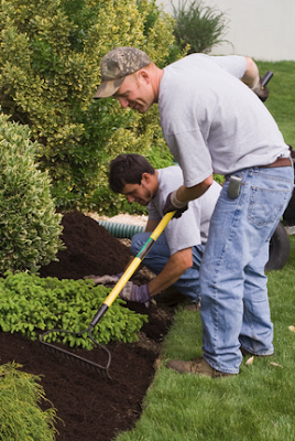 5 Tips To Finding The Best Landscaper In Town ~ Hydroponics - Soil-less ...