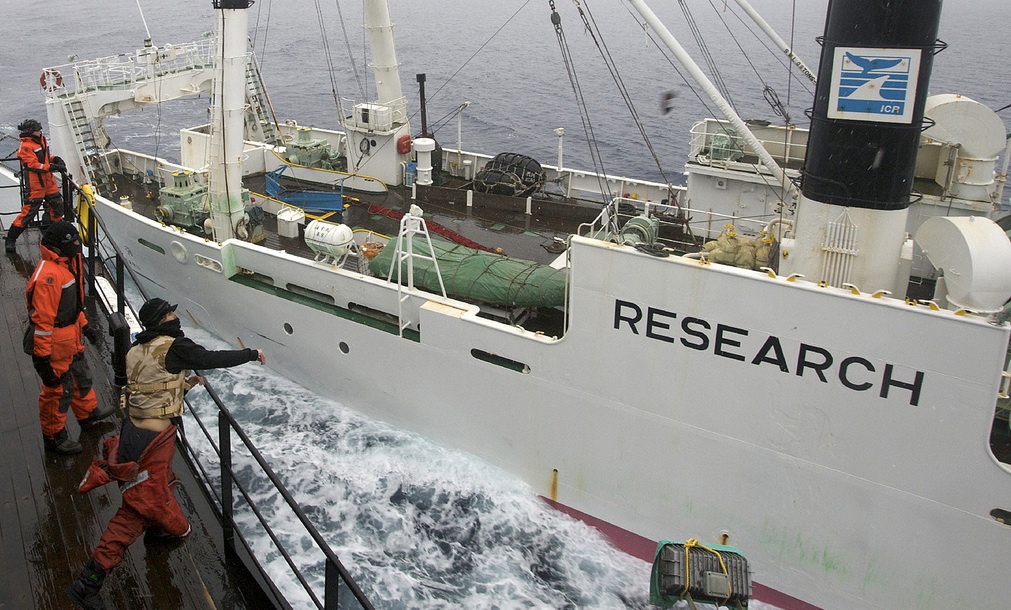 Wailing for Whaling: 06/2013