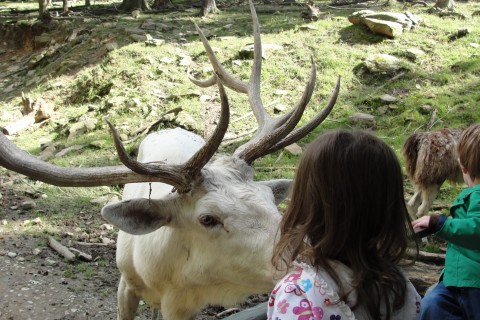 Rolling Ridge Ranch | City Girl, Farm Life