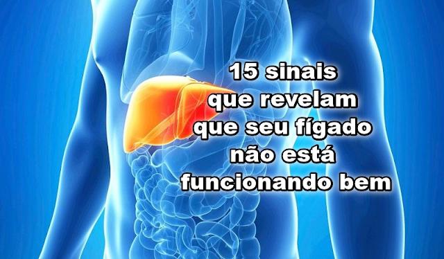 Curiosidades e dicas: 15 Sinais que revelam que seu fígado não esta ...