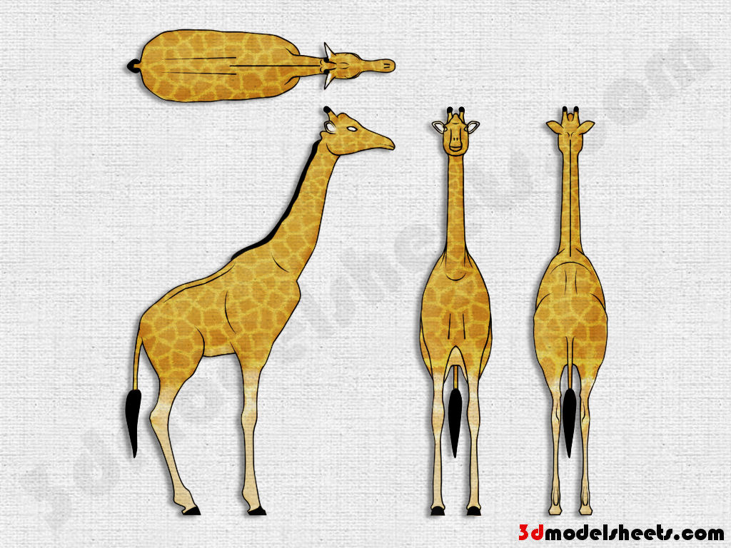 HIGH RESOLUTION TEXTURES: Free Animal Blueprints Model Sheets