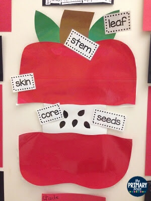We love Apples! - The Primary Post