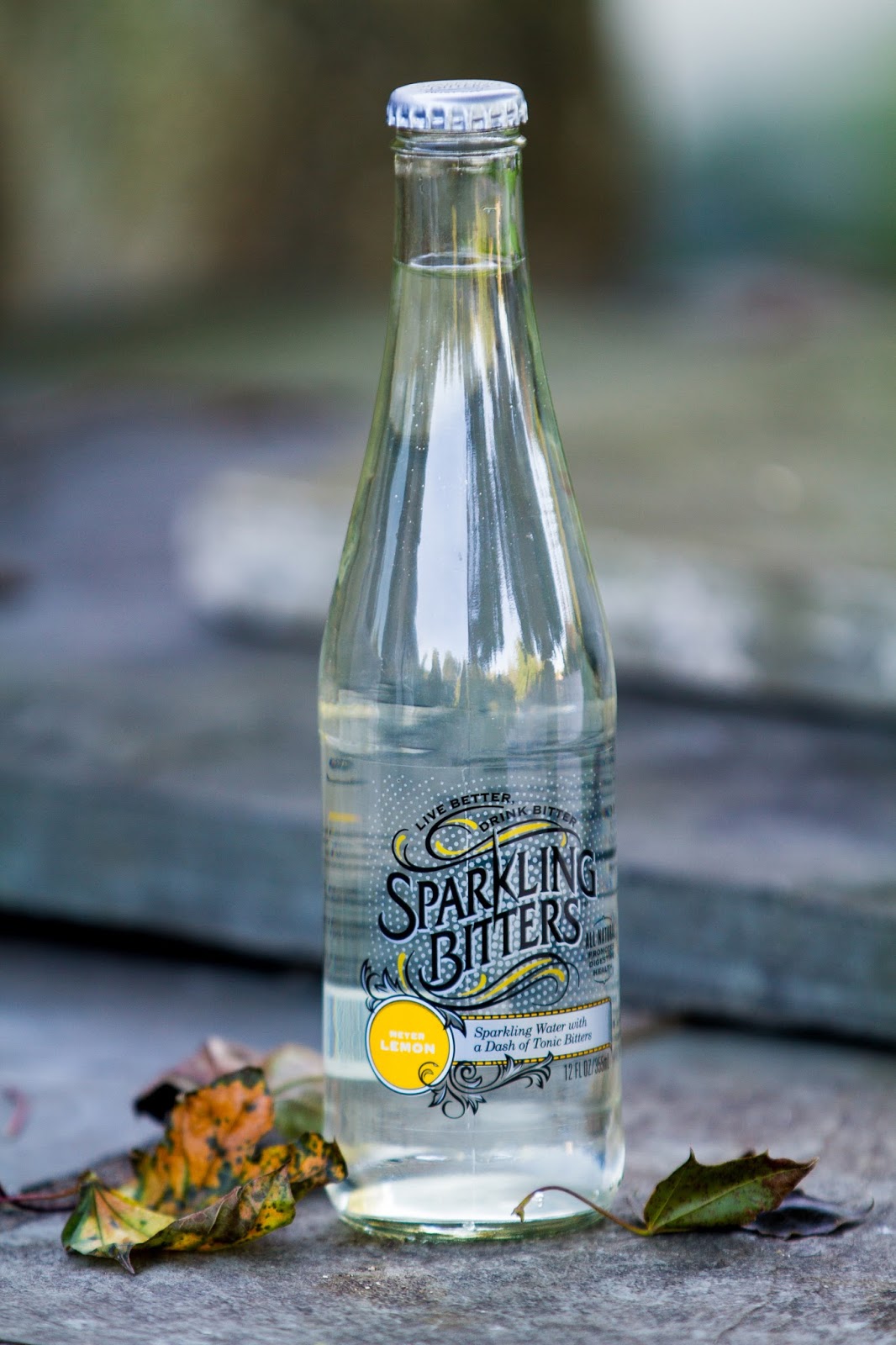 Apple Cider Bourbon Spritzer » Local Food Rocks