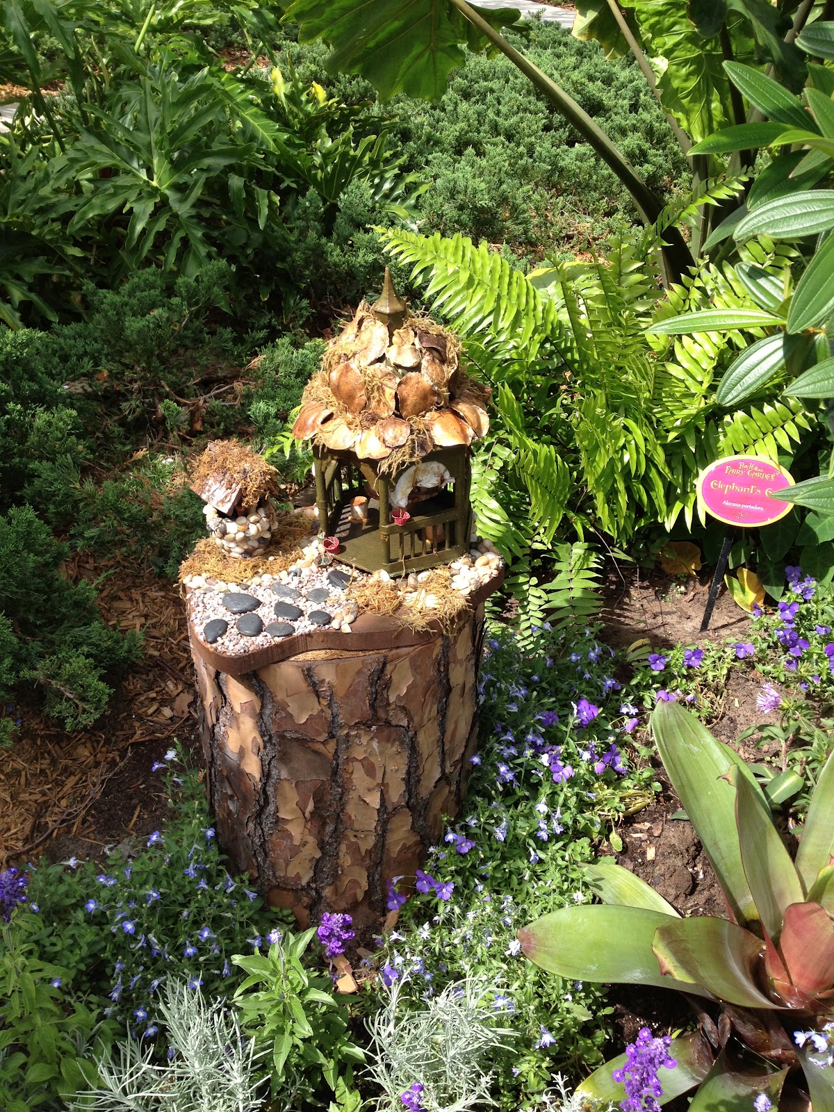 Up All Night with Cindy Jachrimo: Pixie Hollow at Epcot- Pixies & Fairy ...