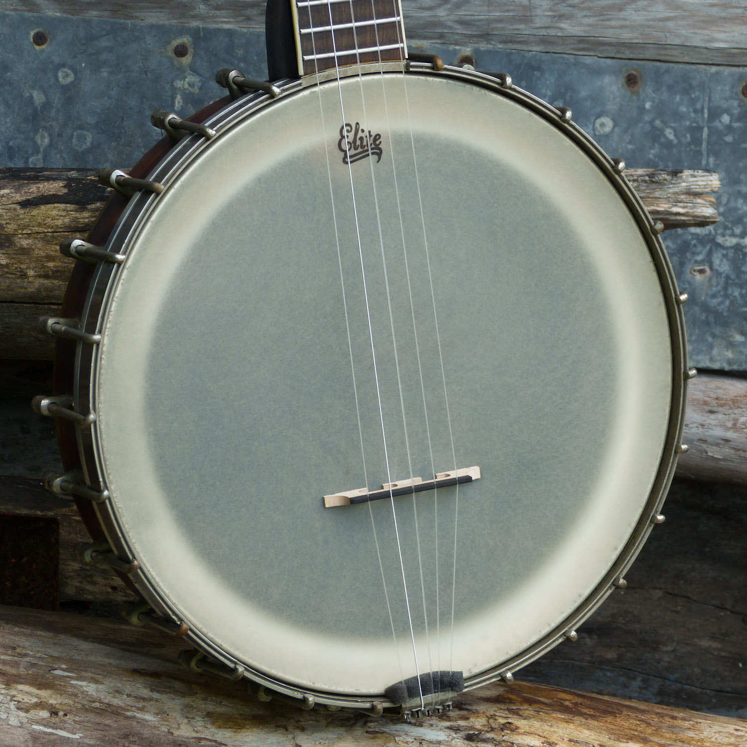 1910s Vega-made Bacon Professional FF 5-String Banjo