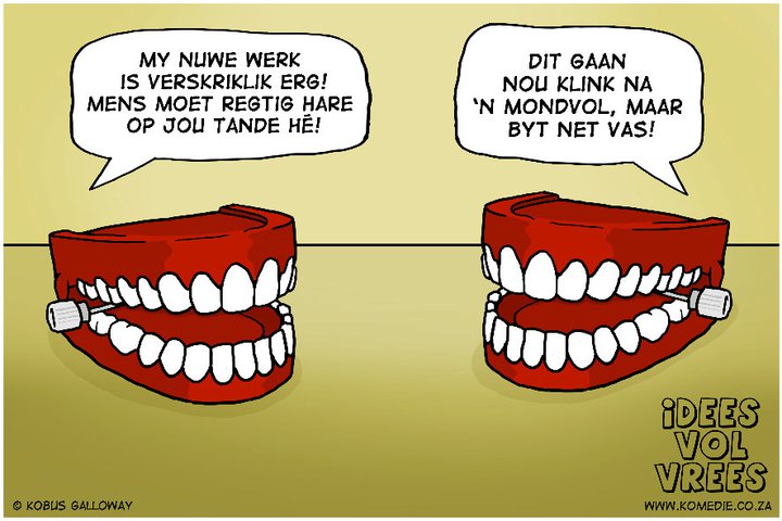 Nog Spotprente! ~ Mr. V's Classroom Companion