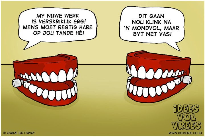 Nog Spotprente! ~ Mr. V's Classroom Companion