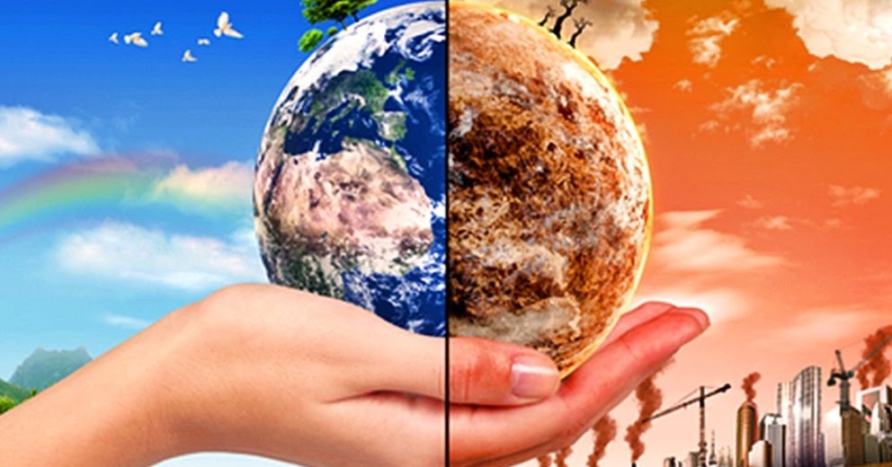 HERE AND CLEAR: The Holocene Extinction