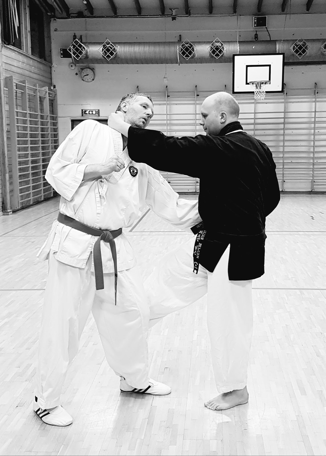Traditional Taekwondo Ramblings: Taegeuk Chil Jang revisited (Follow up ...